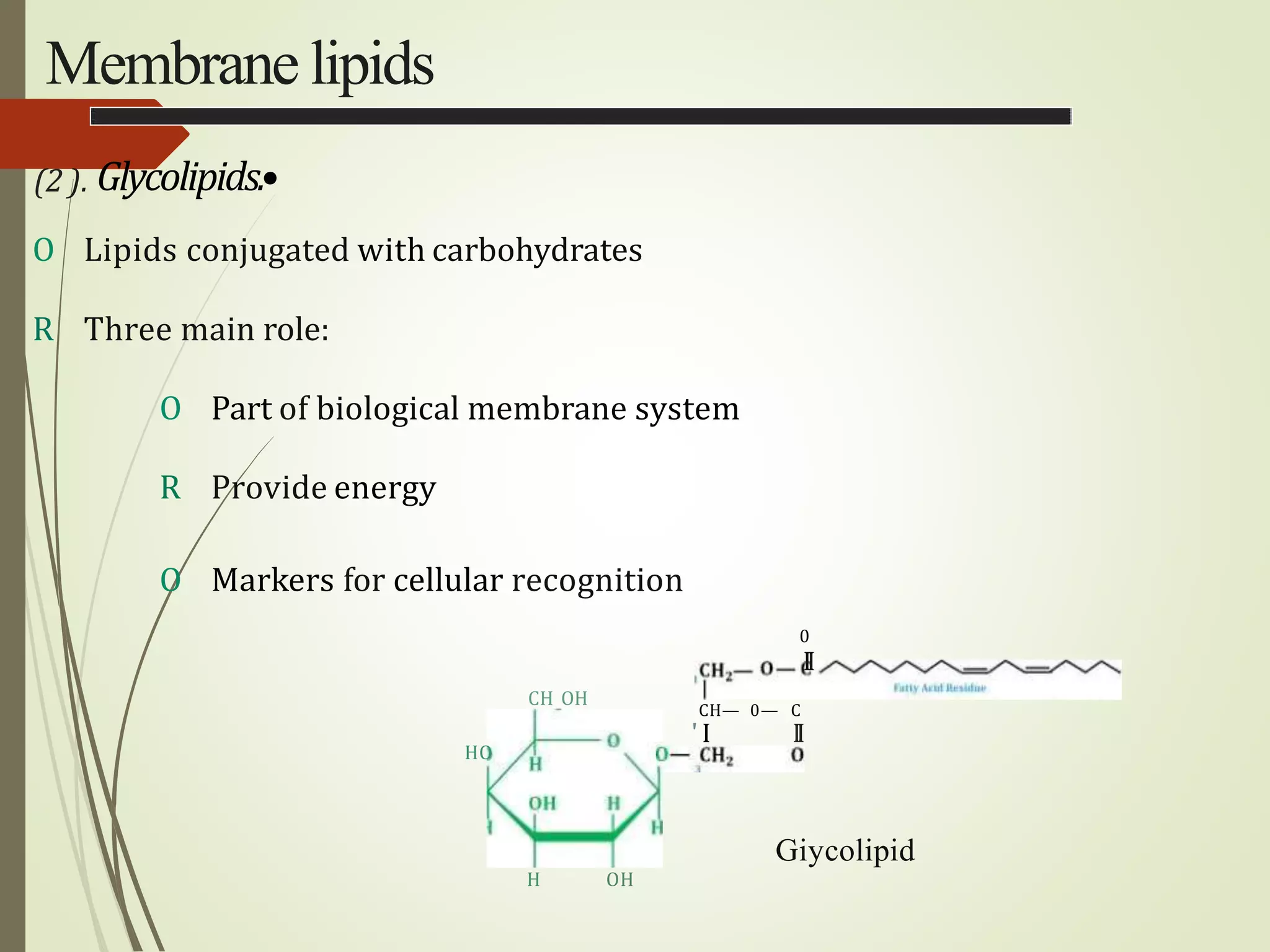 membrane lipids & its types | PPTX