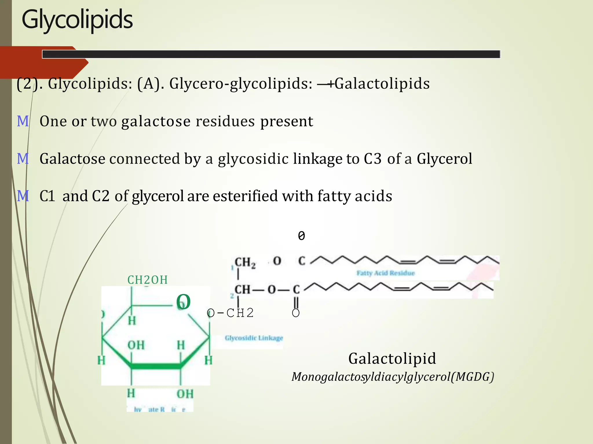 membrane lipids & its types | PPTX