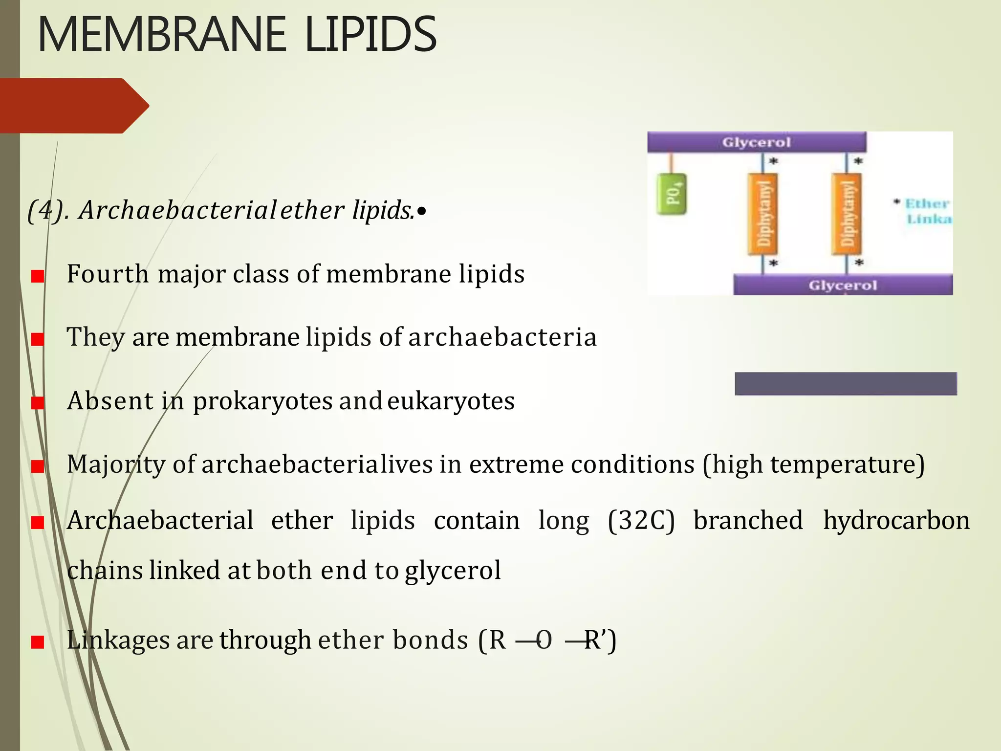 membrane lipids & its types | PPTX