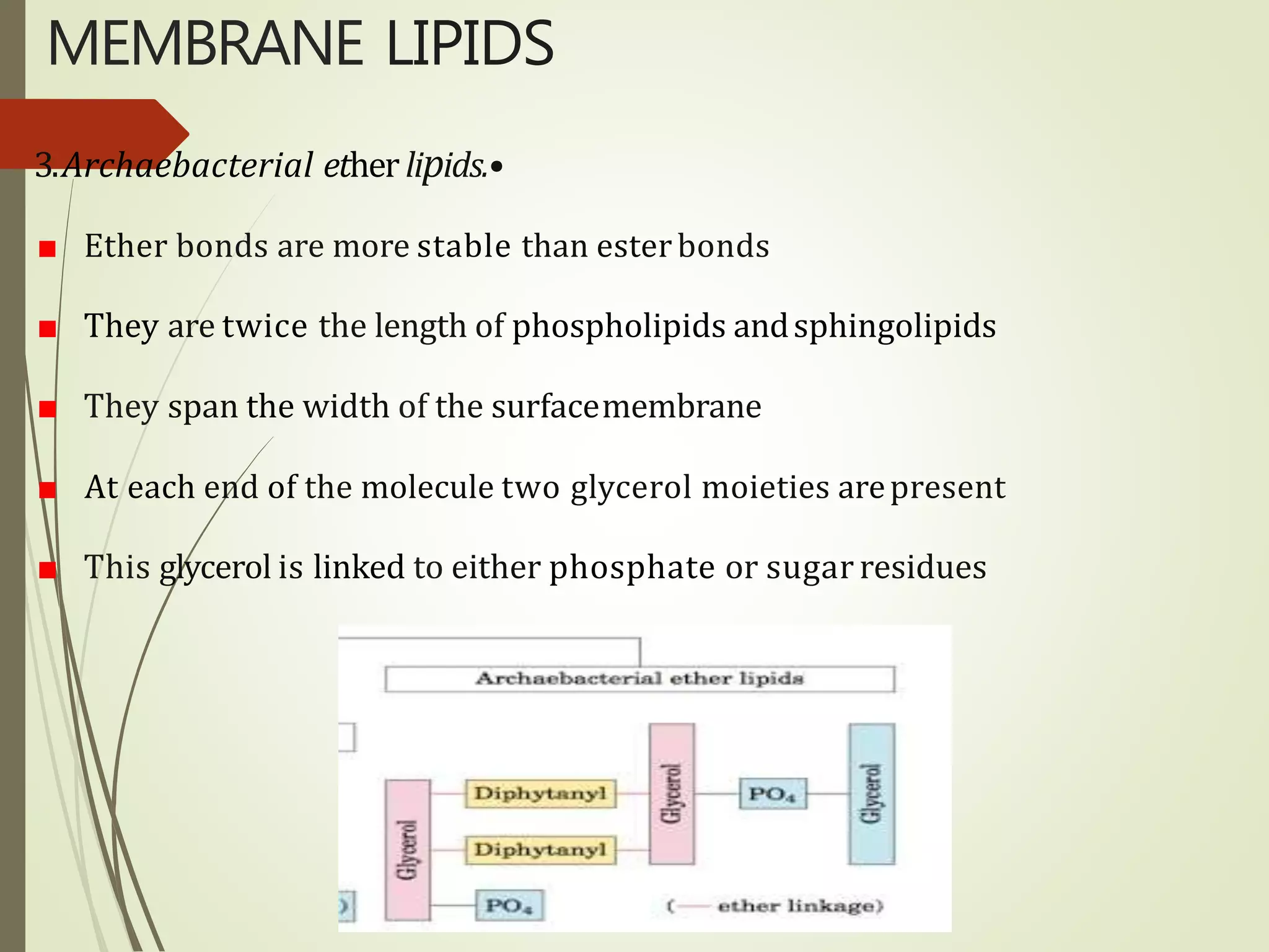 membrane lipids & its types | PPTX