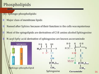 membrane lipids & its types | PPTX