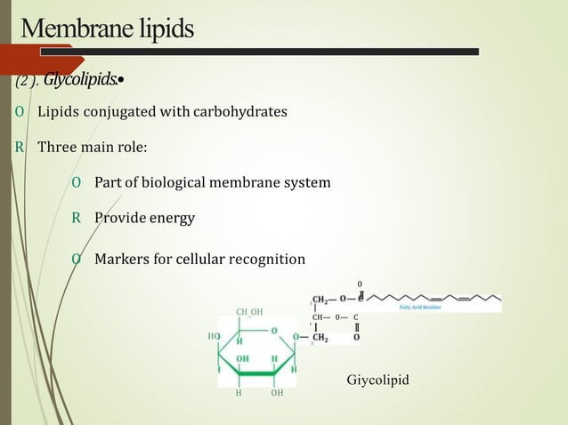 membrane lipids & its types | PPTX | Chemistry | Science