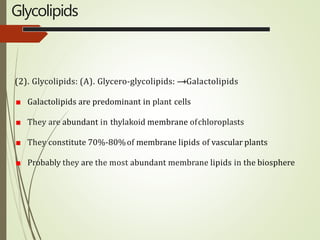 membrane lipids & its types | PPTX