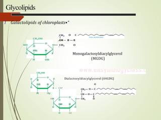 membrane lipids & its types | PPTX