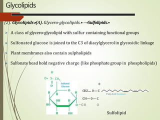 membrane lipids & its types | PPTX