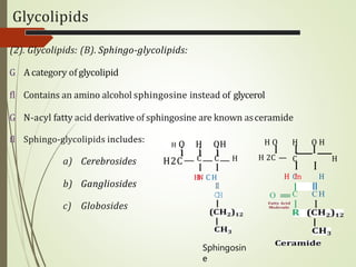 membrane lipids & its types | PPTX
