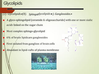 membrane lipids & its types | PPTX