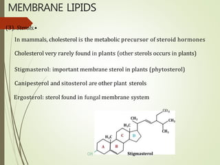 membrane lipids & its types | PPTX