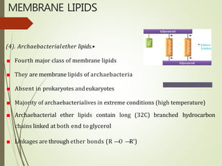membrane lipids & its types | PPTX