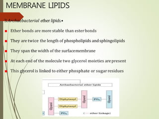 membrane lipids & its types | PPTX