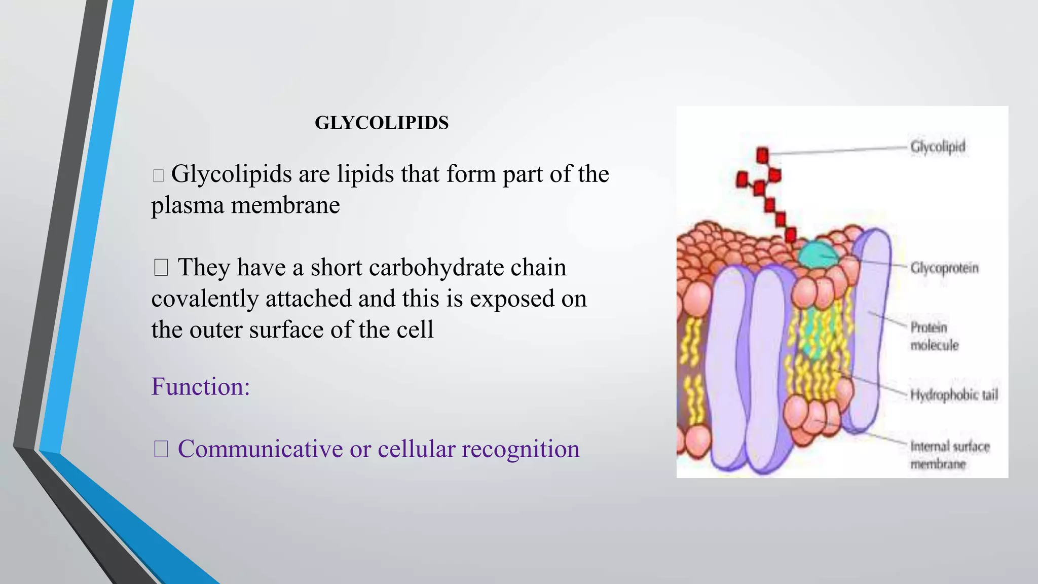 Biomembranes (lipids, proteins, carbohydrates) | PPTX