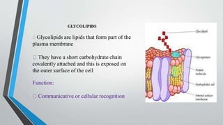 Biomembranes (lipids, proteins, carbohydrates) | PPTX