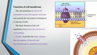 Biomembranes (lipids, proteins, carbohydrates) | PPTX