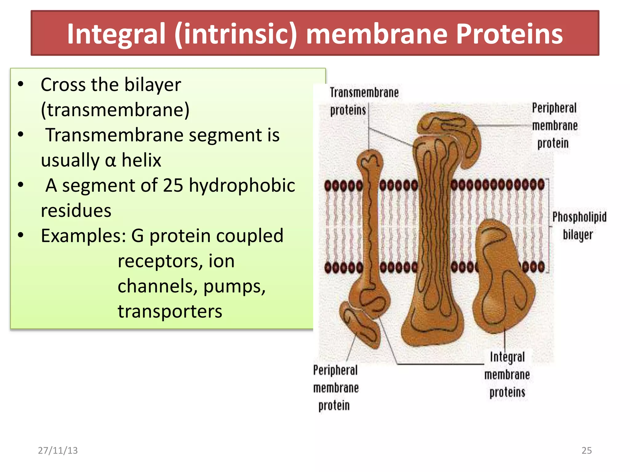Biomembranes and biofilms saurabh | PPTX
