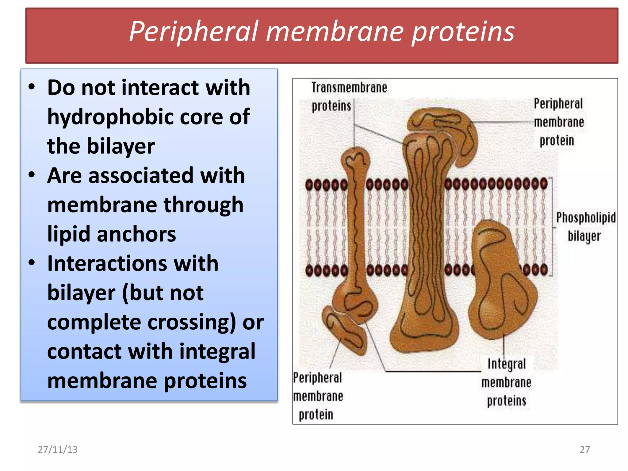 Biomembranes and biofilms saurabh | PPTX