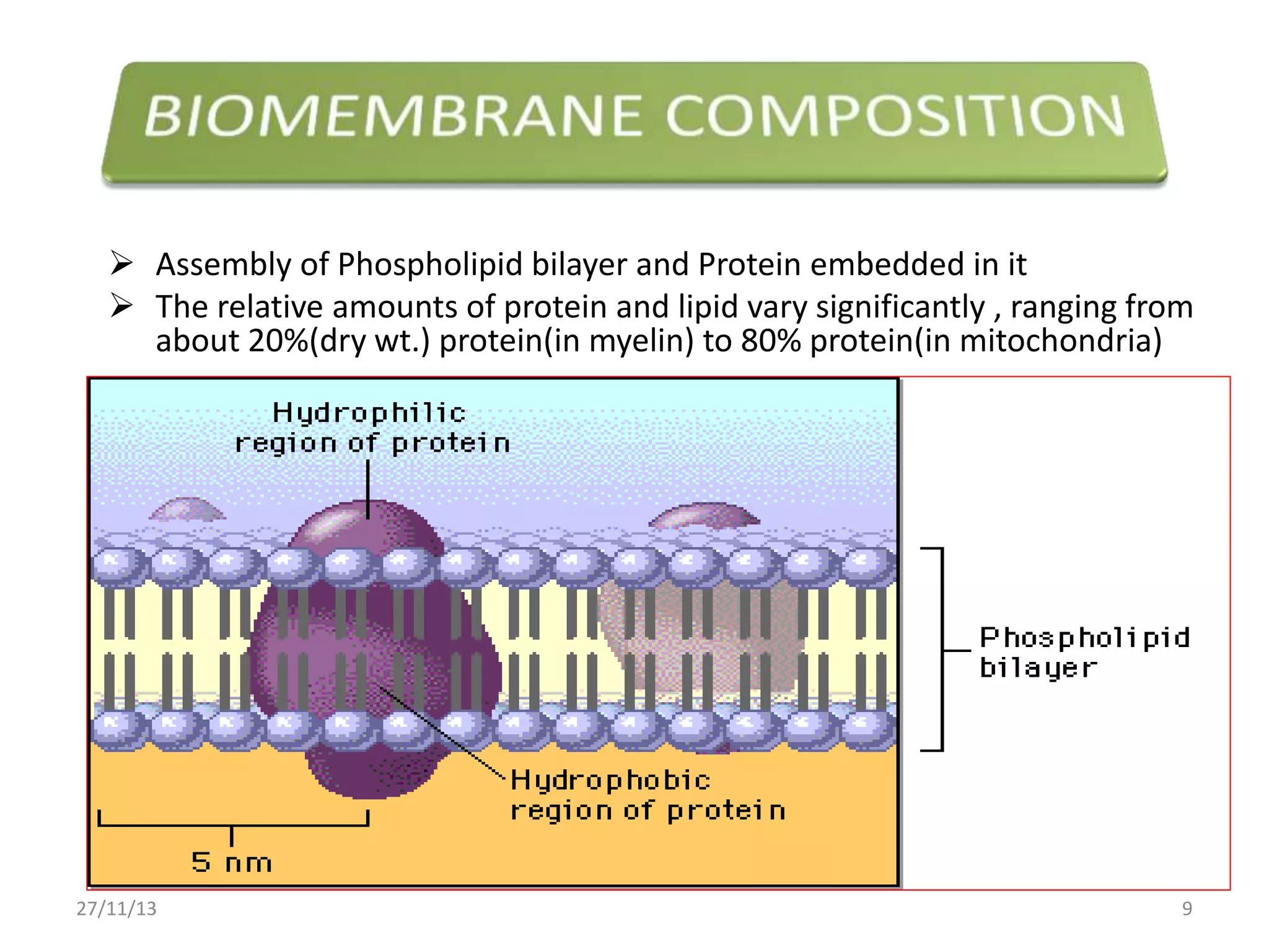 Biomembranes and biofilms saurabh | PPTX