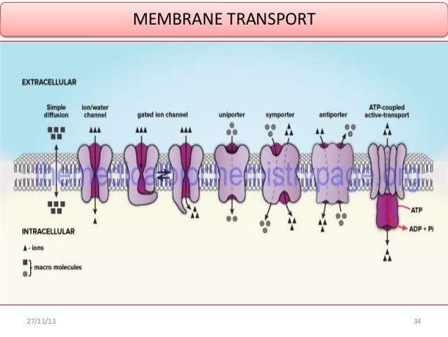Biomembranes and biofilms saurabh