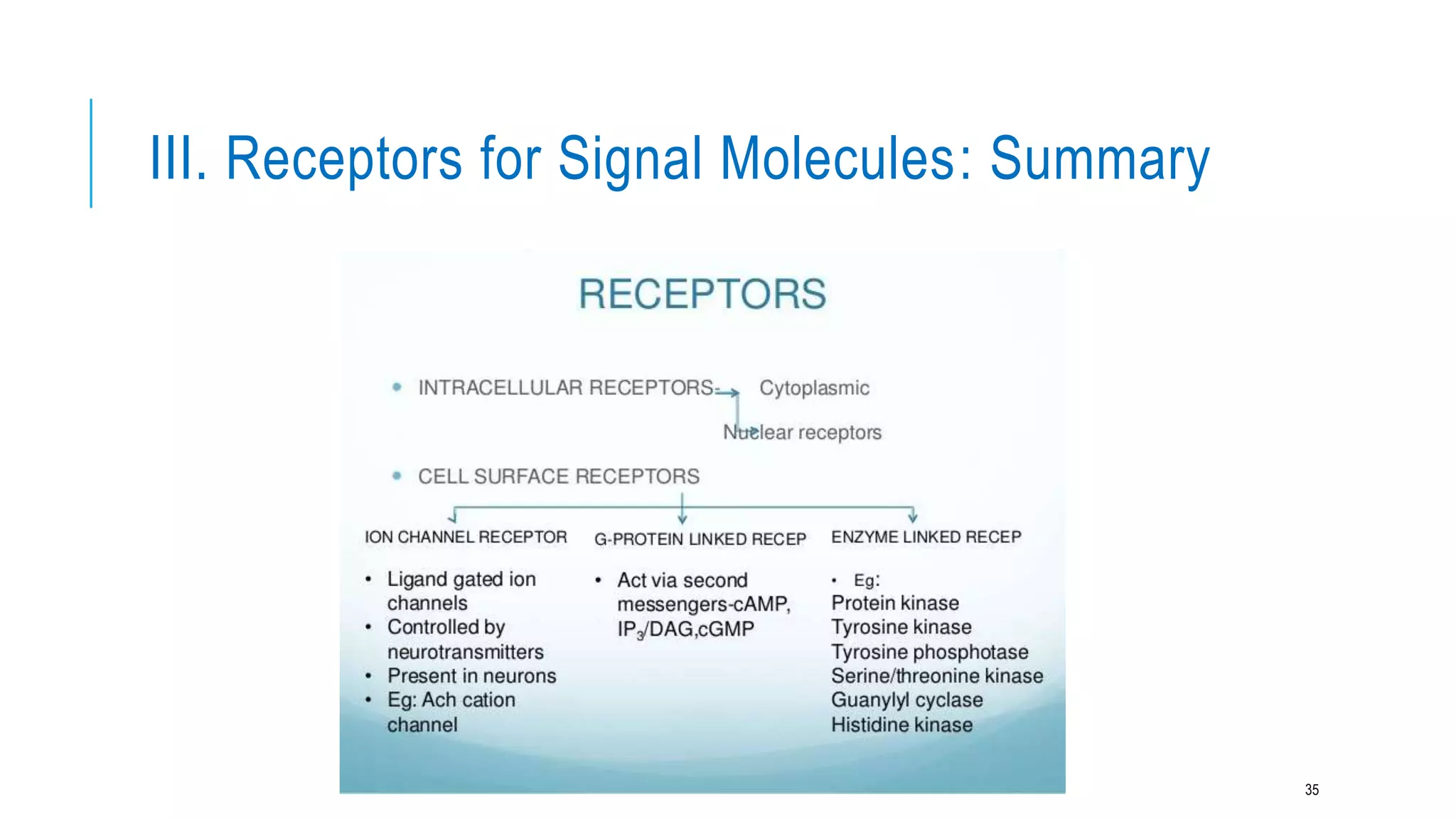 Biomembrane Signaling Transduction | PPT