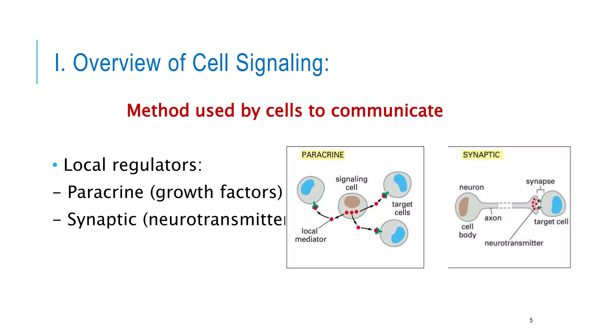 Biomembrane Signaling Transduction | PPT