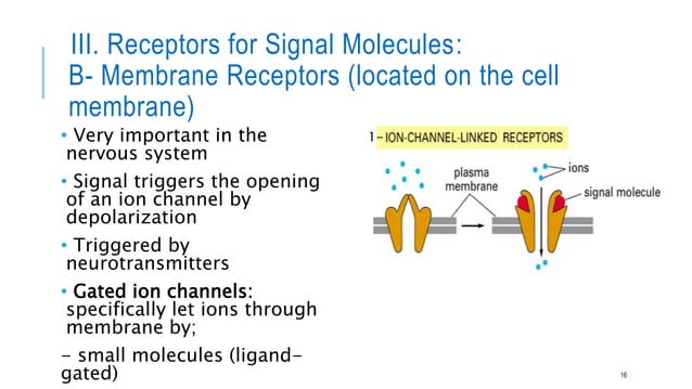Biomembrane Signaling Transduction | PPT