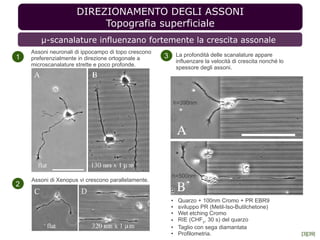 Biomems | PDF