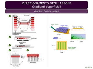 Biomems | PDF