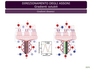 Biomems | PDF