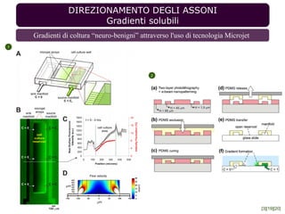 Biomems | PDF