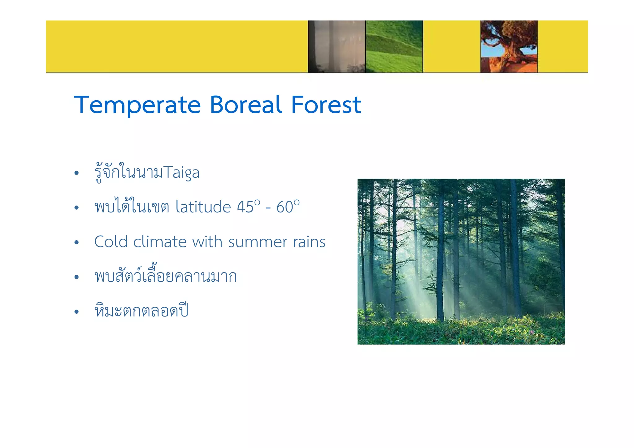 Biome of the world | PPT