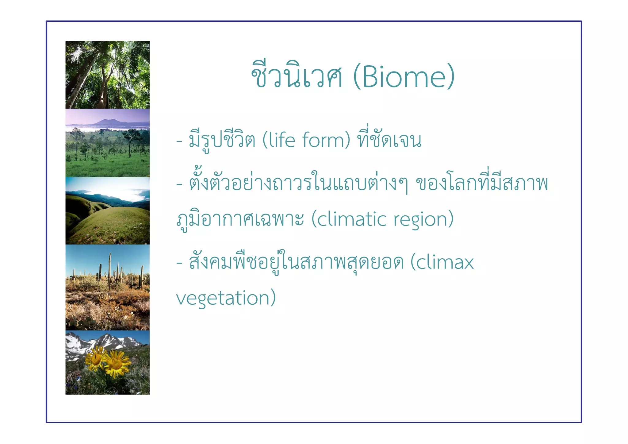 Biome of the world | PPT