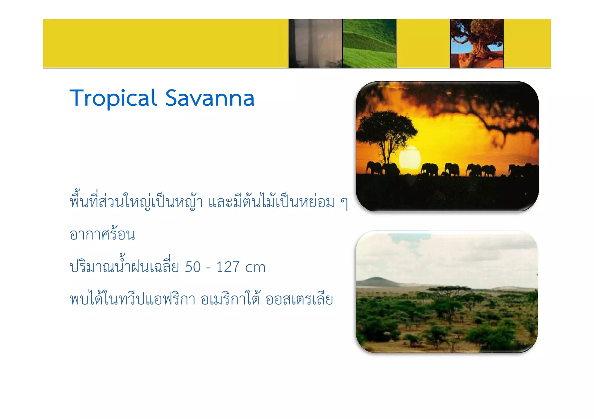 Biome of the world | PPT