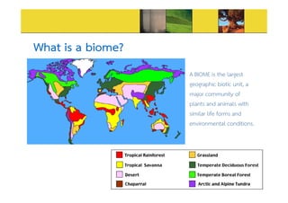 Biome of the world | PPT