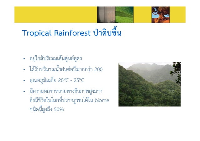 Biome of the world | PPT