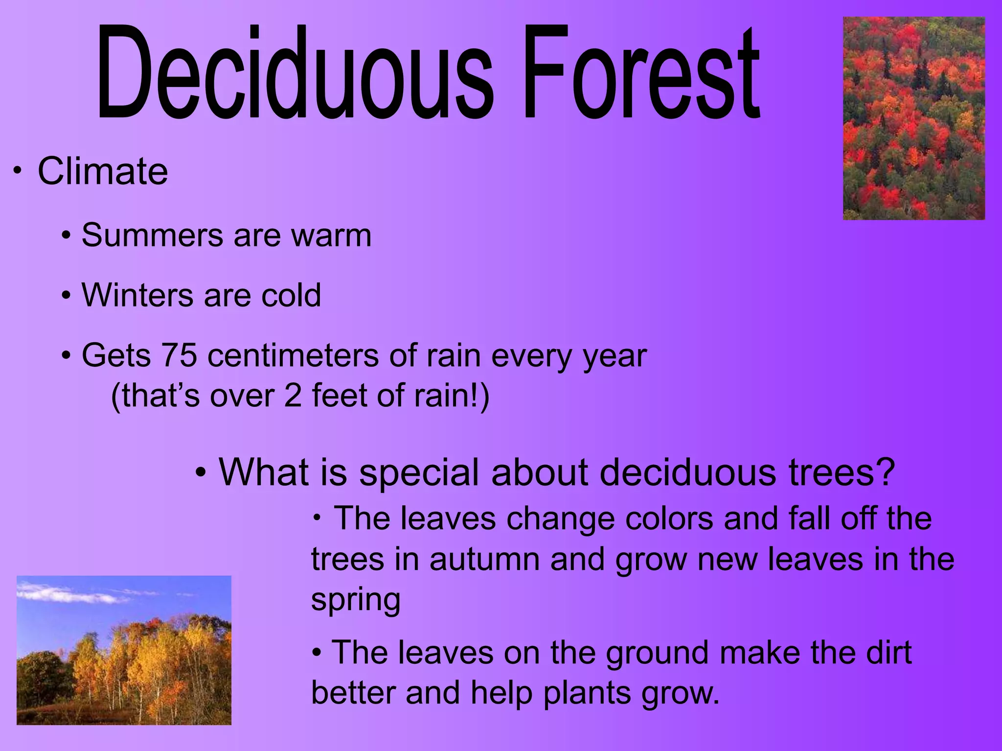 biome powerpoint.ppt