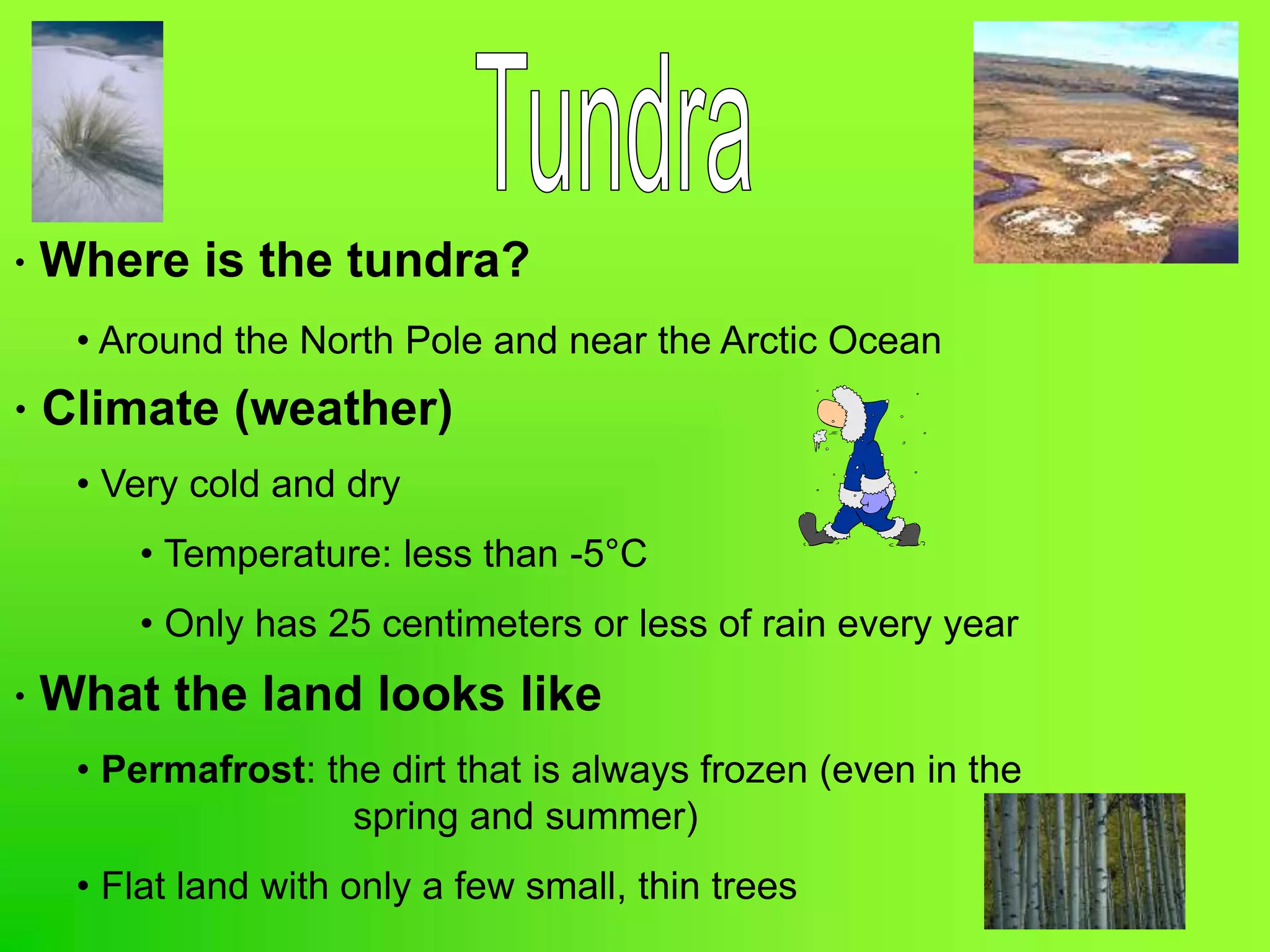biome powerpoint.ppt