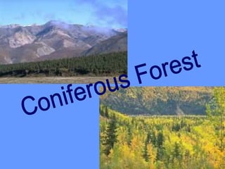 Ppt Intro To Biomes Powerpoint Presentation Free 320x240