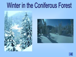 biome powerpoint.ppt
