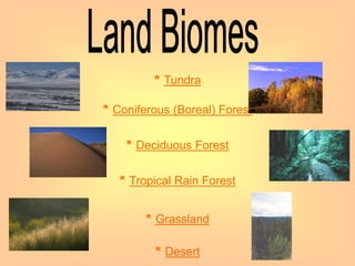 biome powerpoint.ppt