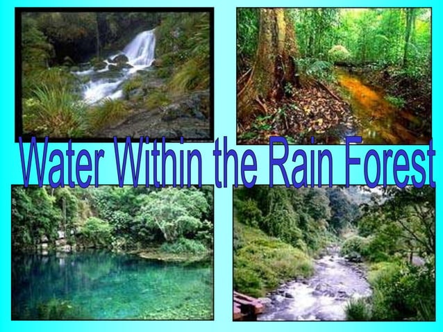 biome powerpoint.ppt | Geography | Science