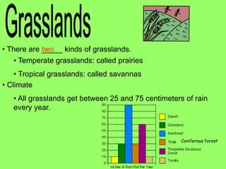 biome powerpoint.ppt