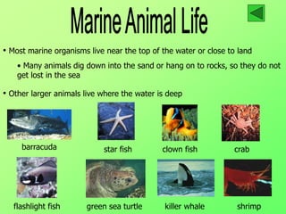 biome powerpoint.ppt