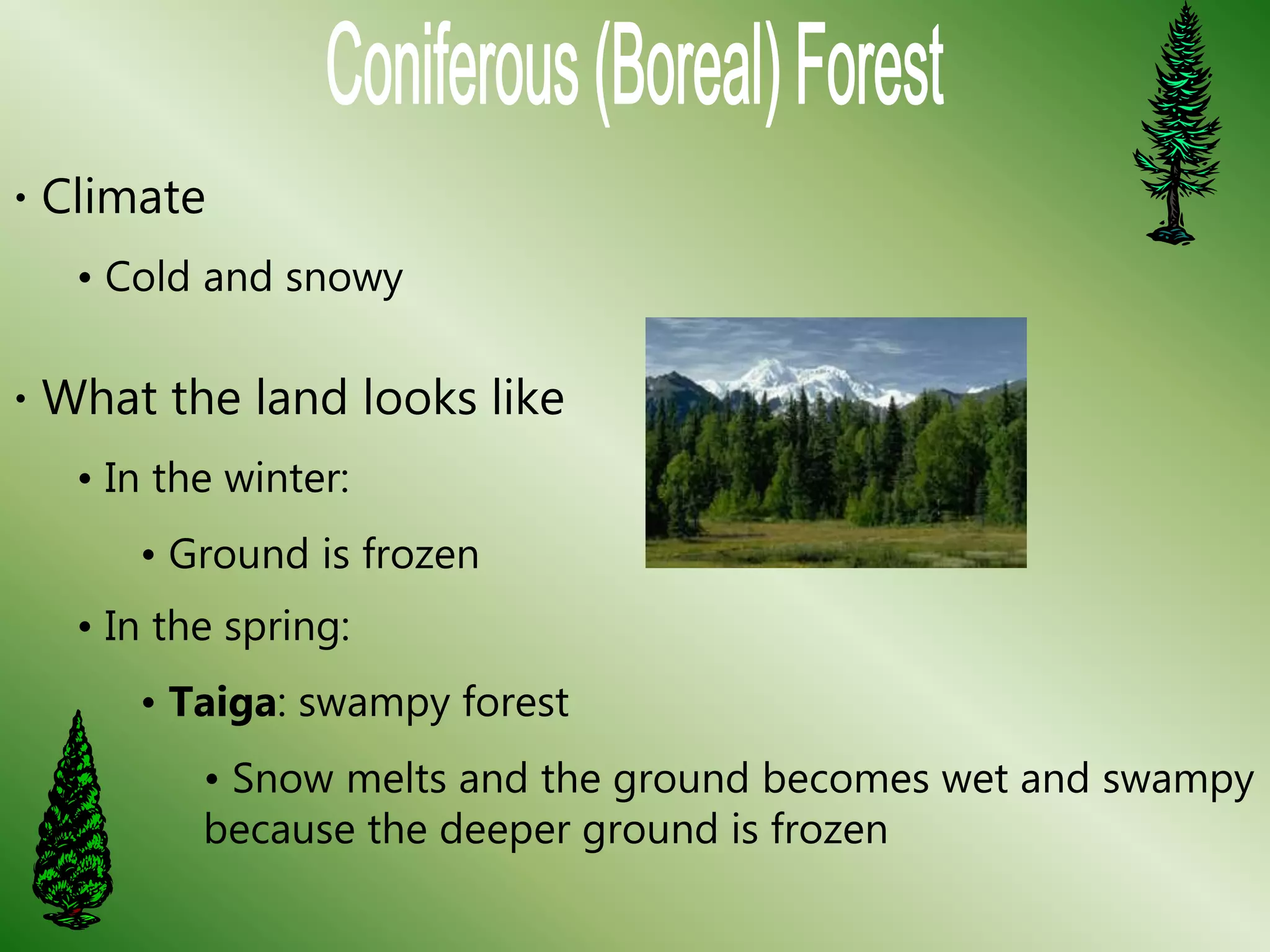 biome powerpoint.ppt