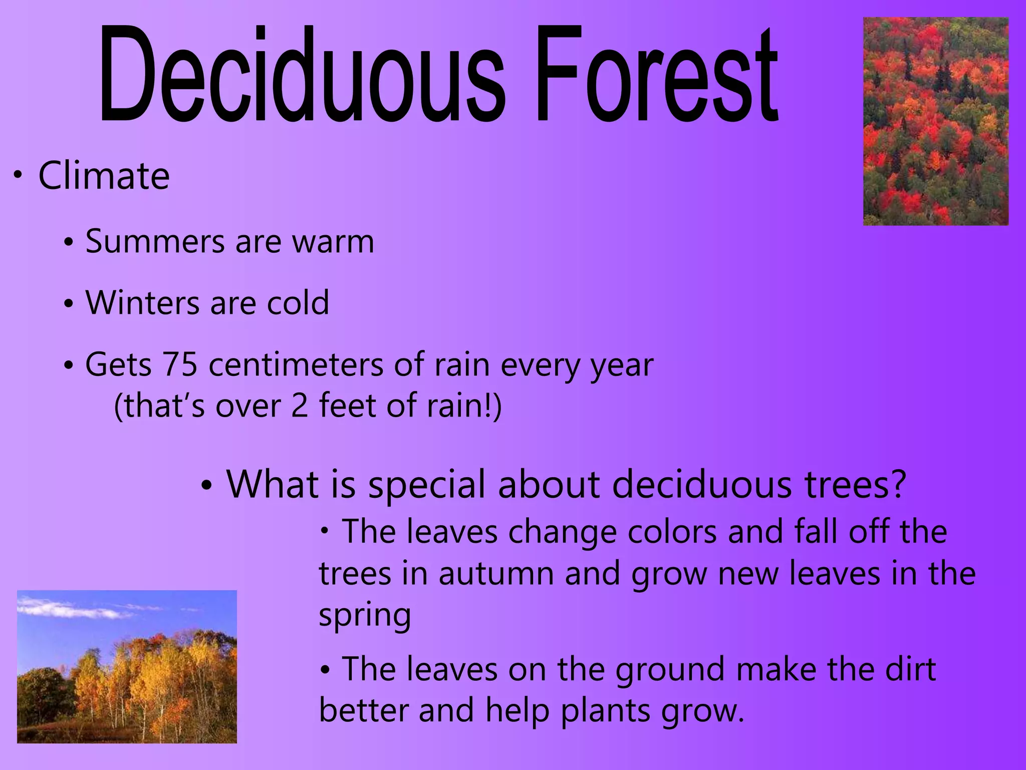 biome powerpoint.ppt