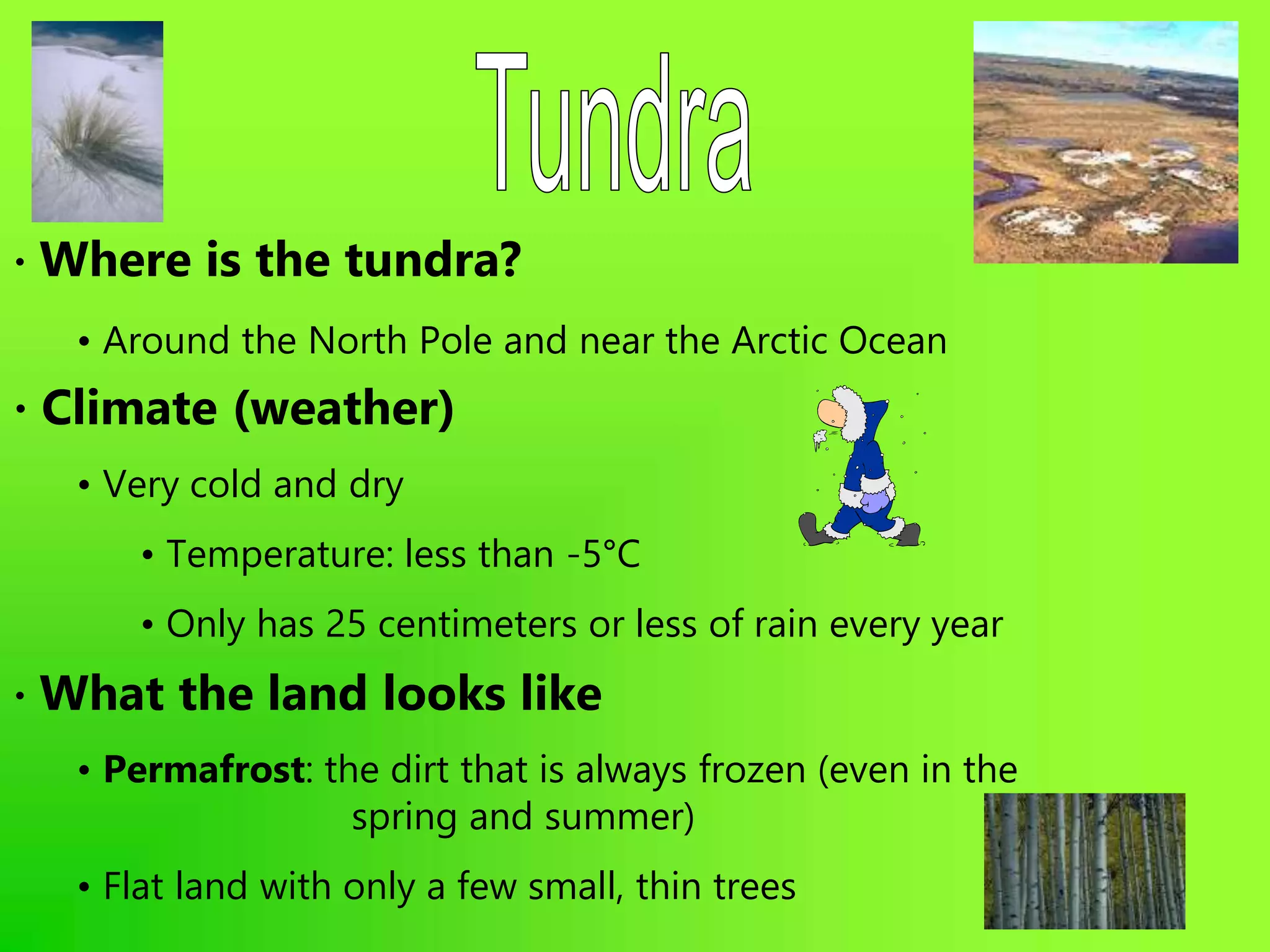biome powerpoint.ppt