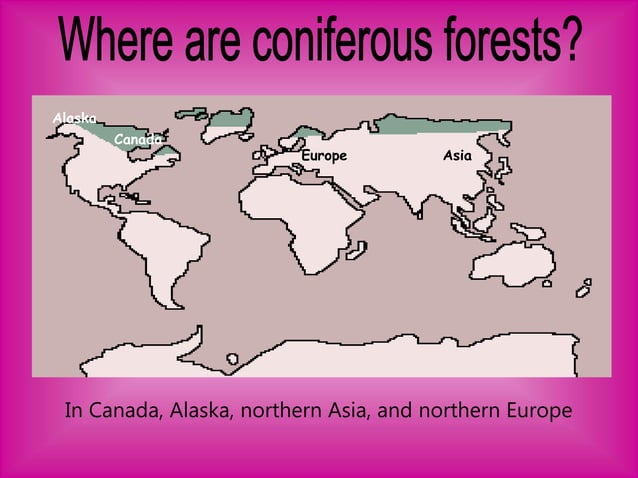 biome powerpoint.ppt