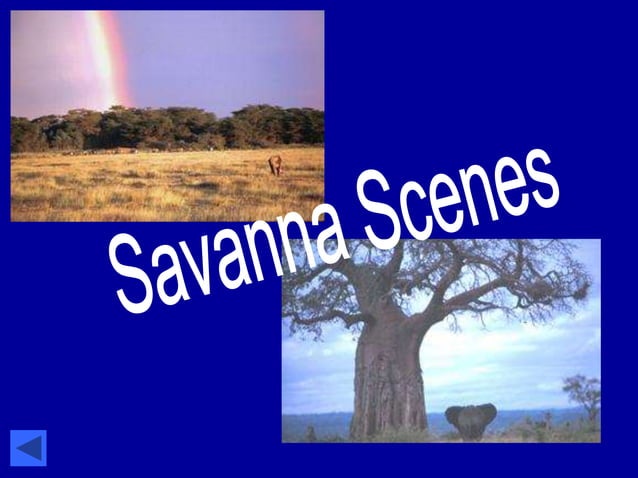 biome powerpoint.ppt