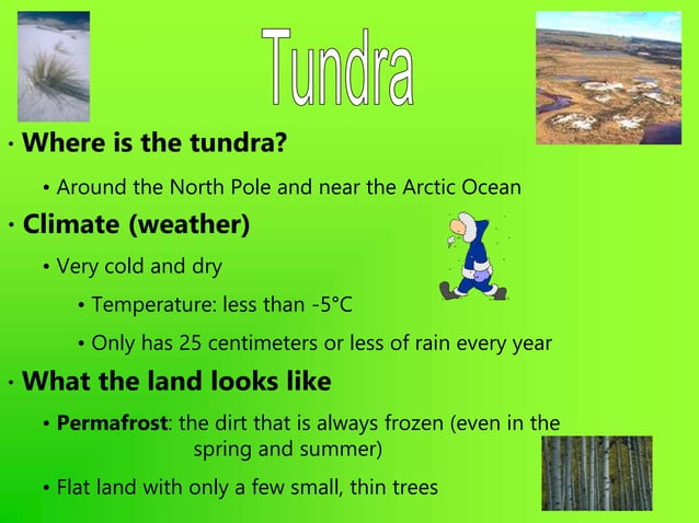 biome powerpoint.ppt