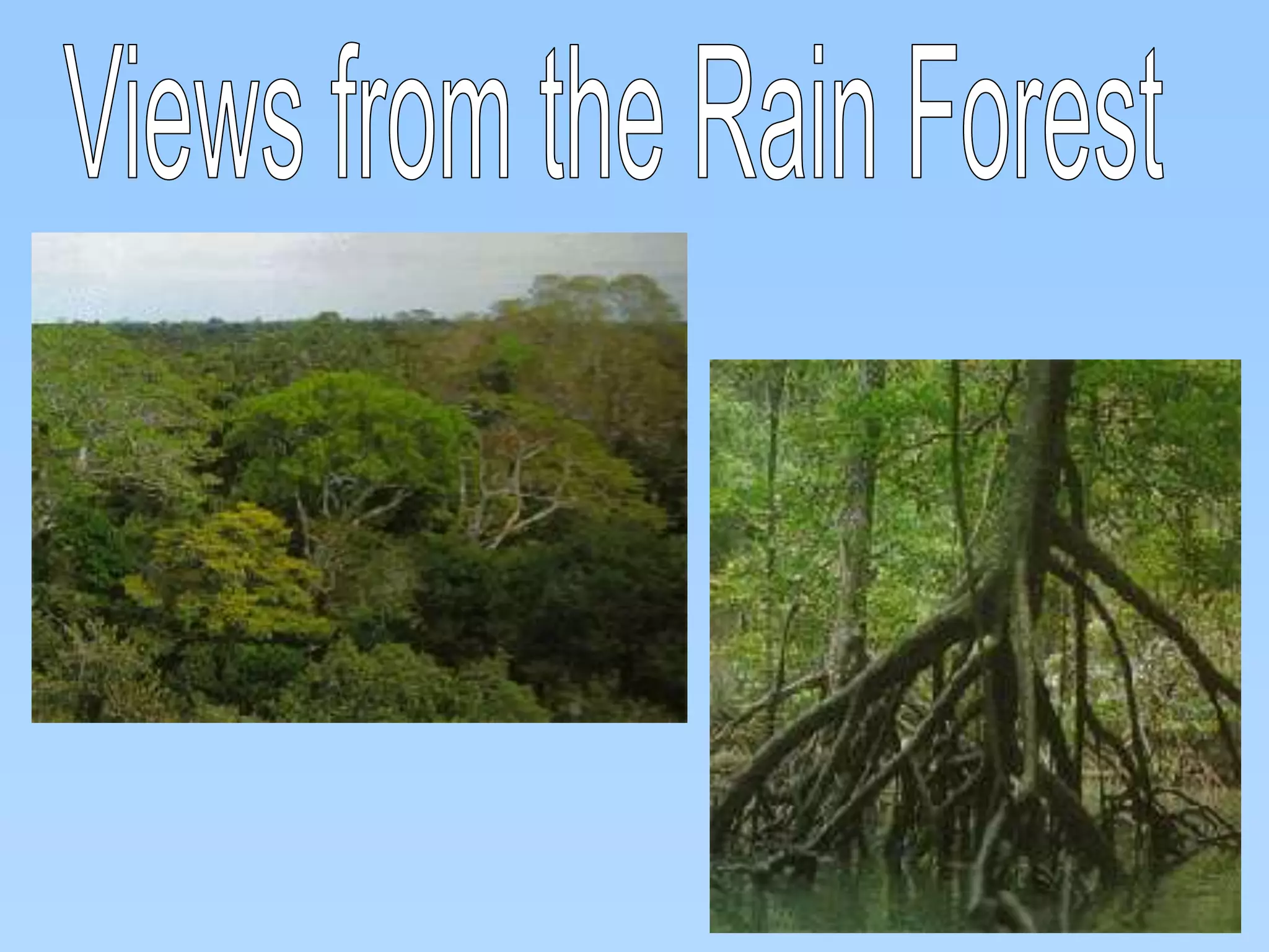 biome powerpoint.ppt