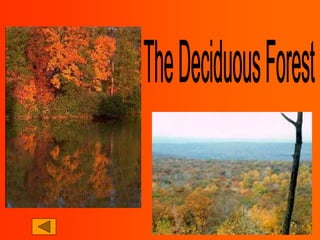 biome powerpoint.ppt