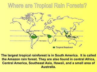 biome powerpoint.ppt